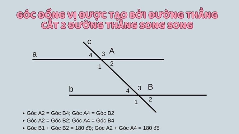 Hai góc đồng vị là gì? Chứng minh 2 góc đồng vị bằng nhau - ihoc.vn